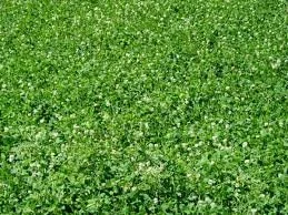 Northwoods Seed — Harper Growing Solutions