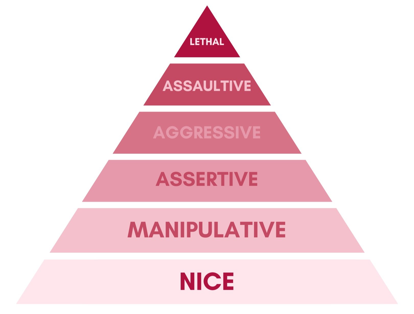 Understanding Violence — Queens Muay Thai