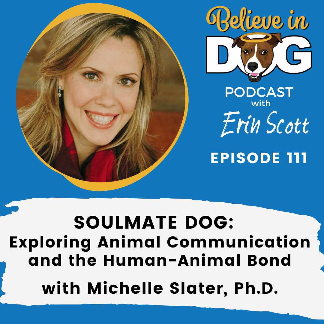 Episode 111. Soulmate Dog: Exploring Animal Communication and the Human ...