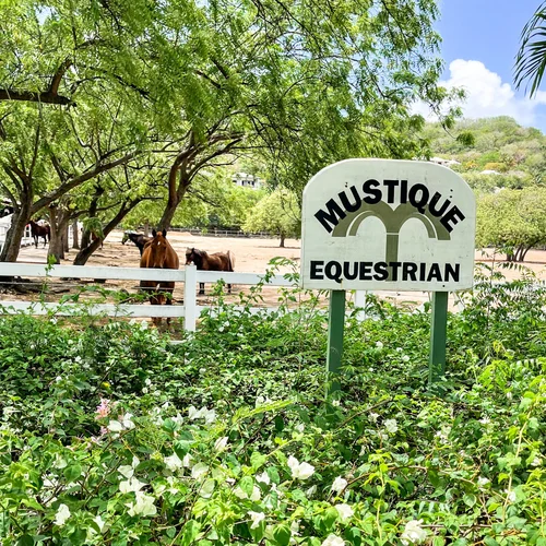 Travel Diaries: Mustique — Tracy Moore