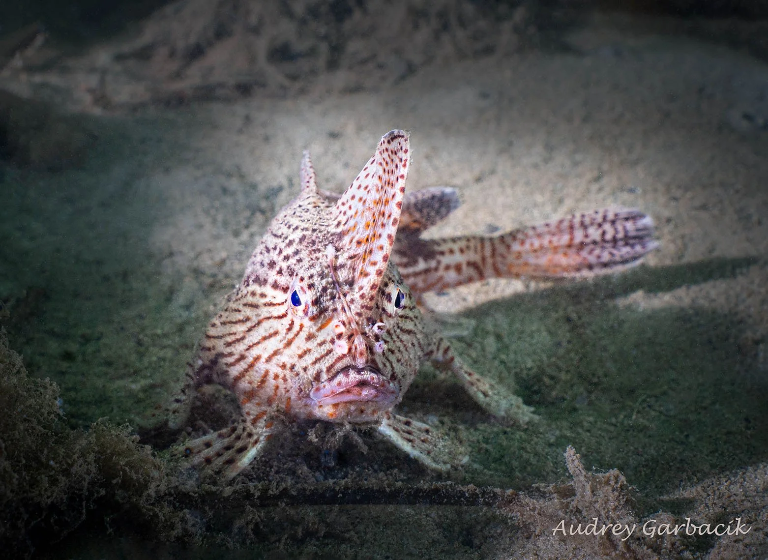 Southern Australia & Tasmania — Colors of the Sea