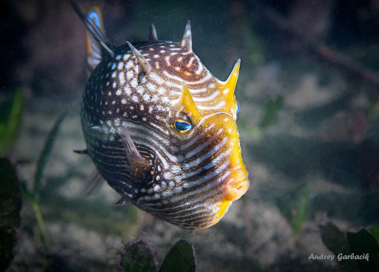 Southern Australia & Tasmania — Colors of the Sea