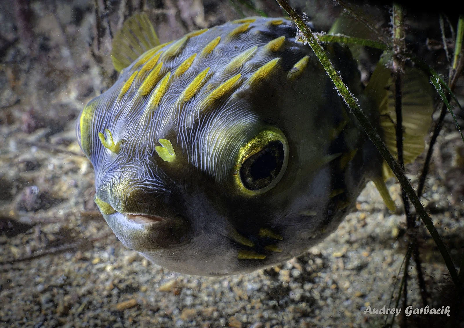 Southern Australia & Tasmania — Colors of the Sea