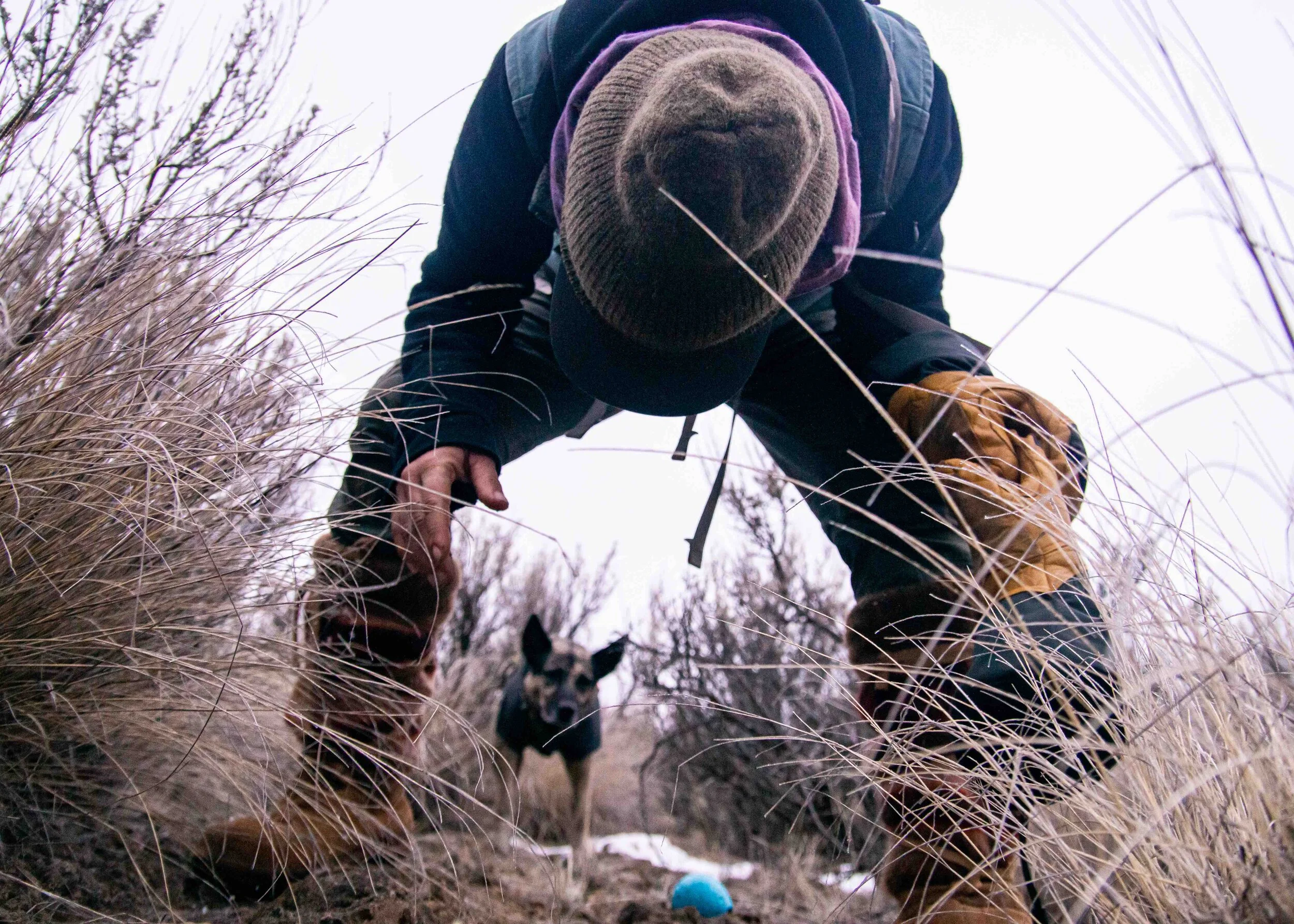 Plants — Rogue Detection Teams