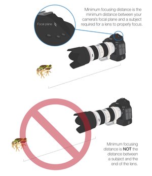 An Introduction To Macro Photography — neilfisher.com