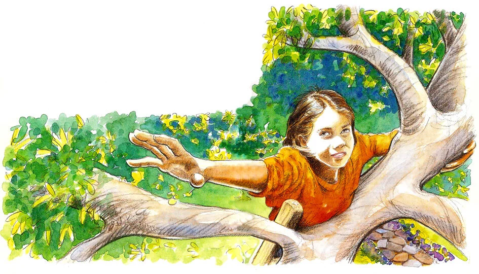 Children's book illustrations — Susy Boyer Art