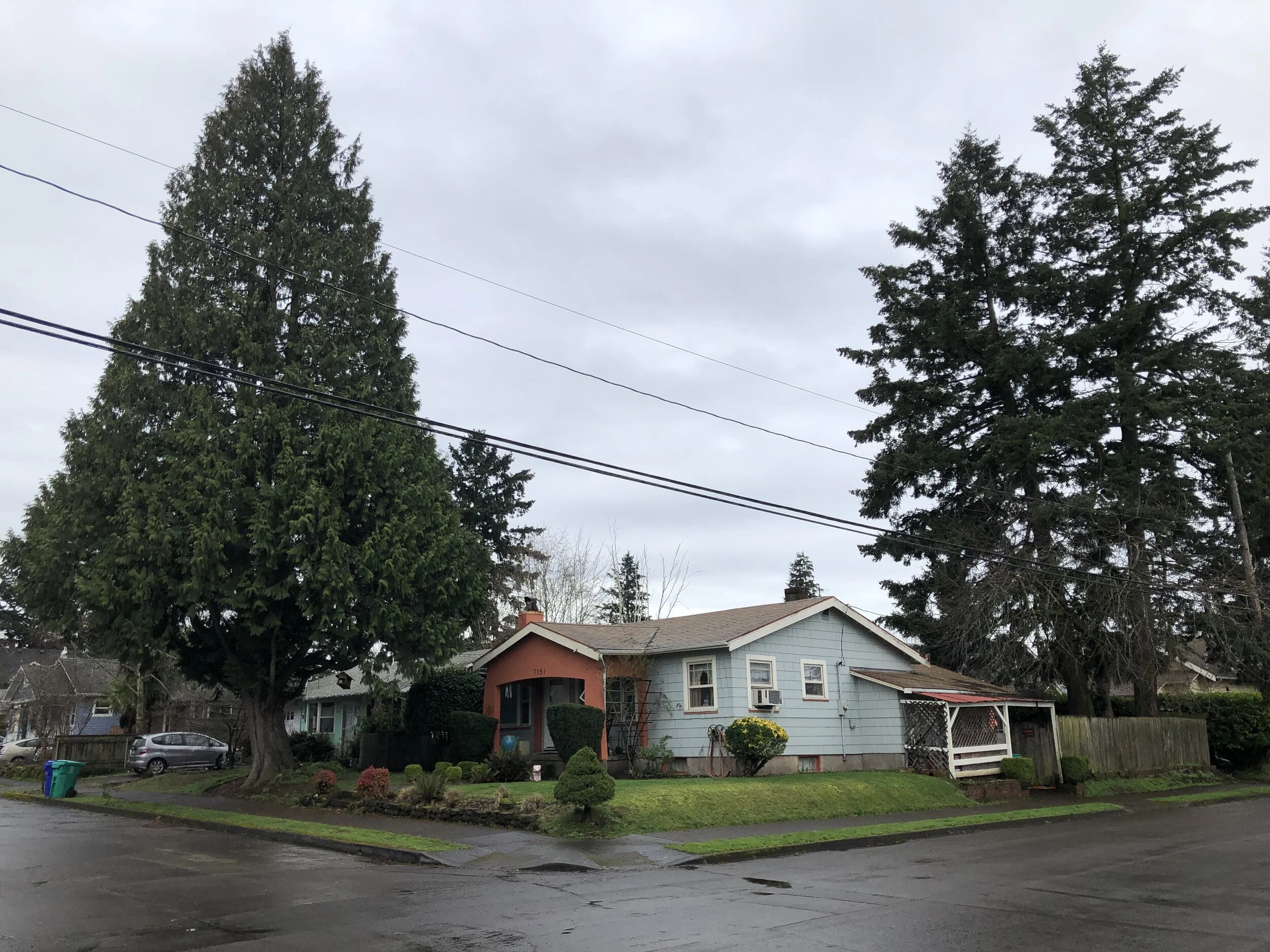 Diving Deeper into Portland's Tree Canopy — Trees For Life