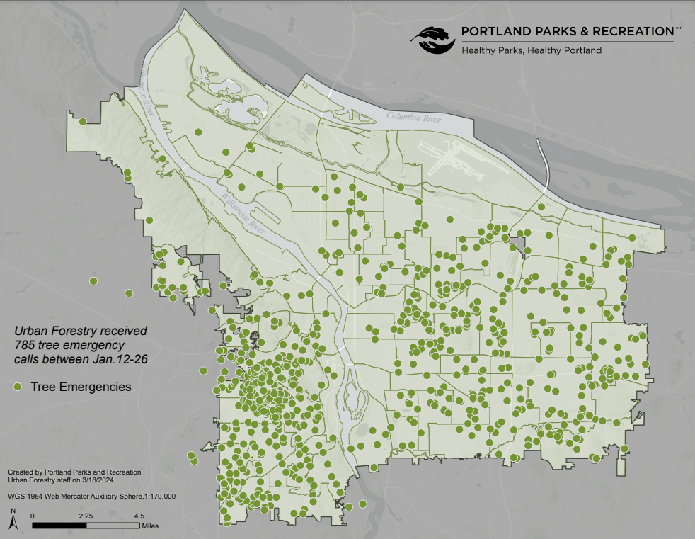 Big-Tree Loss in Portland’s Wind and Ice Storms: What’s in Our Control ...