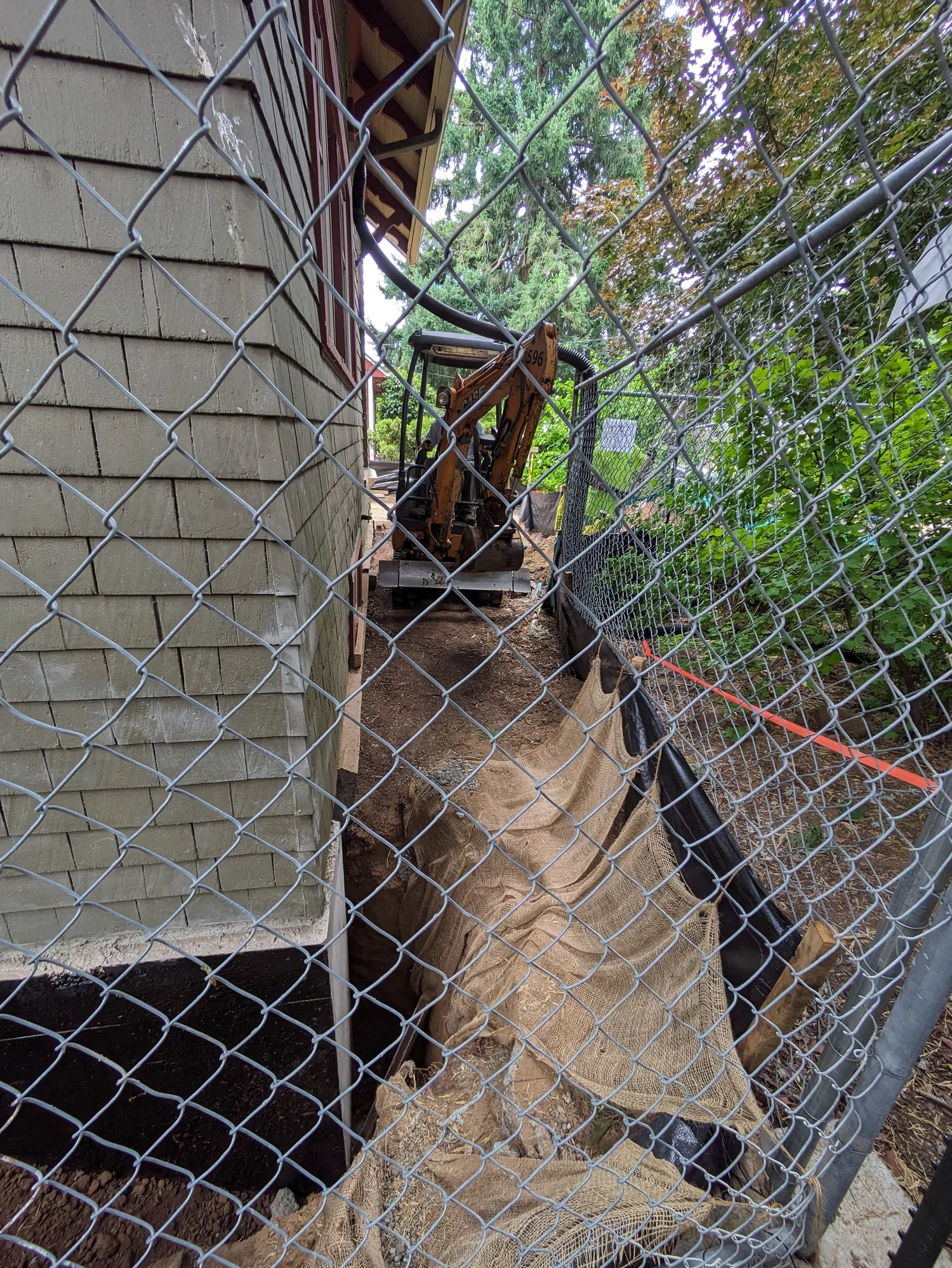Saving Trees During Construction: One Arborist’s Inside View — Trees ...