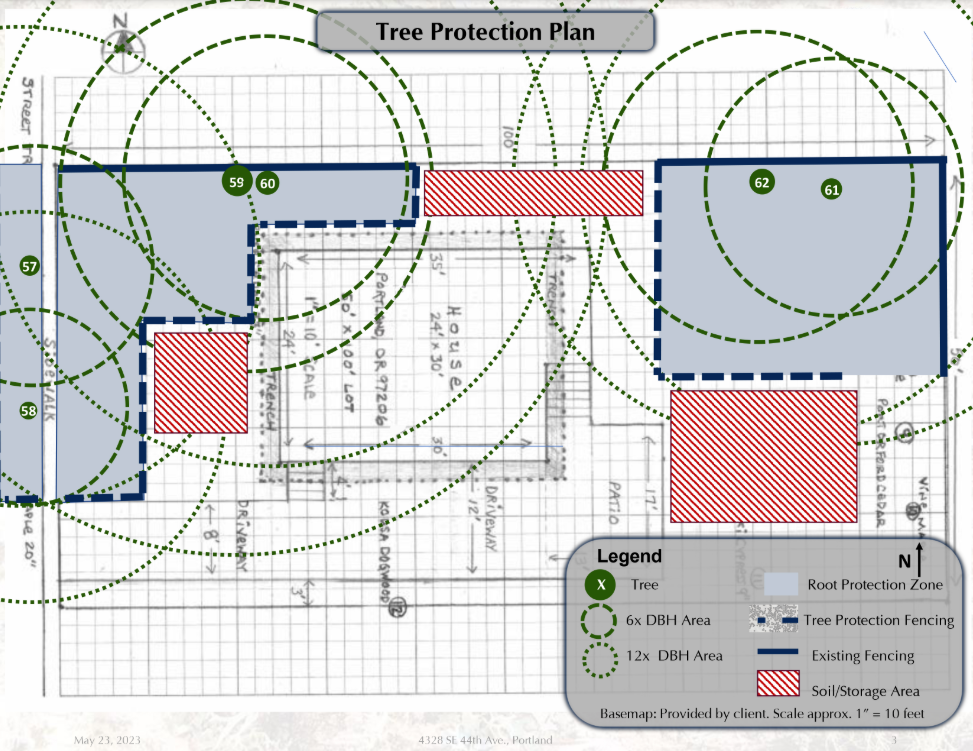 Saving Trees During Construction: One Arborist’s Inside View — Trees For Life