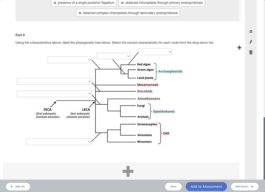 Course Design with Codon — Codon Learning