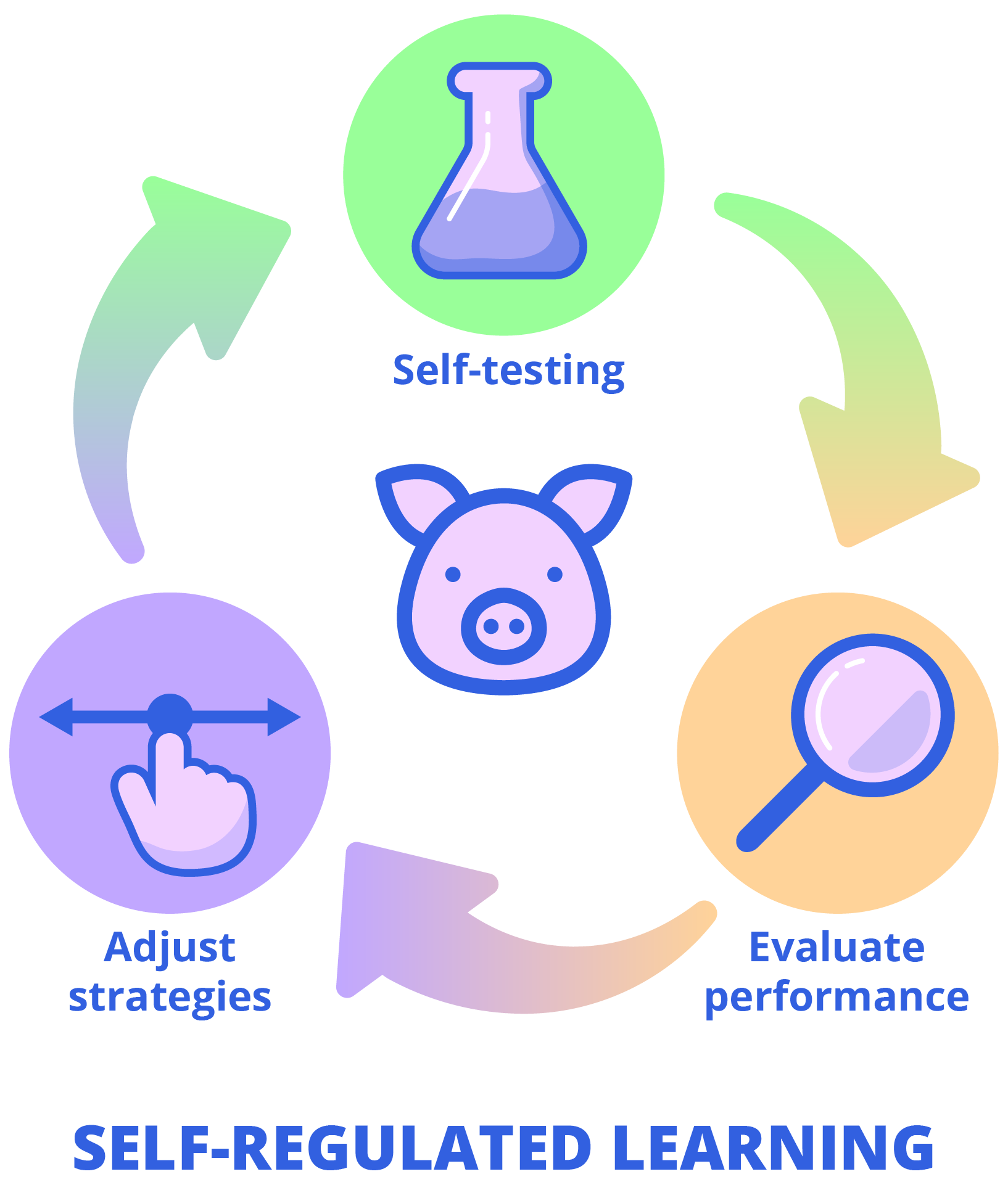 Evidence and Efficacy — Codon Learning