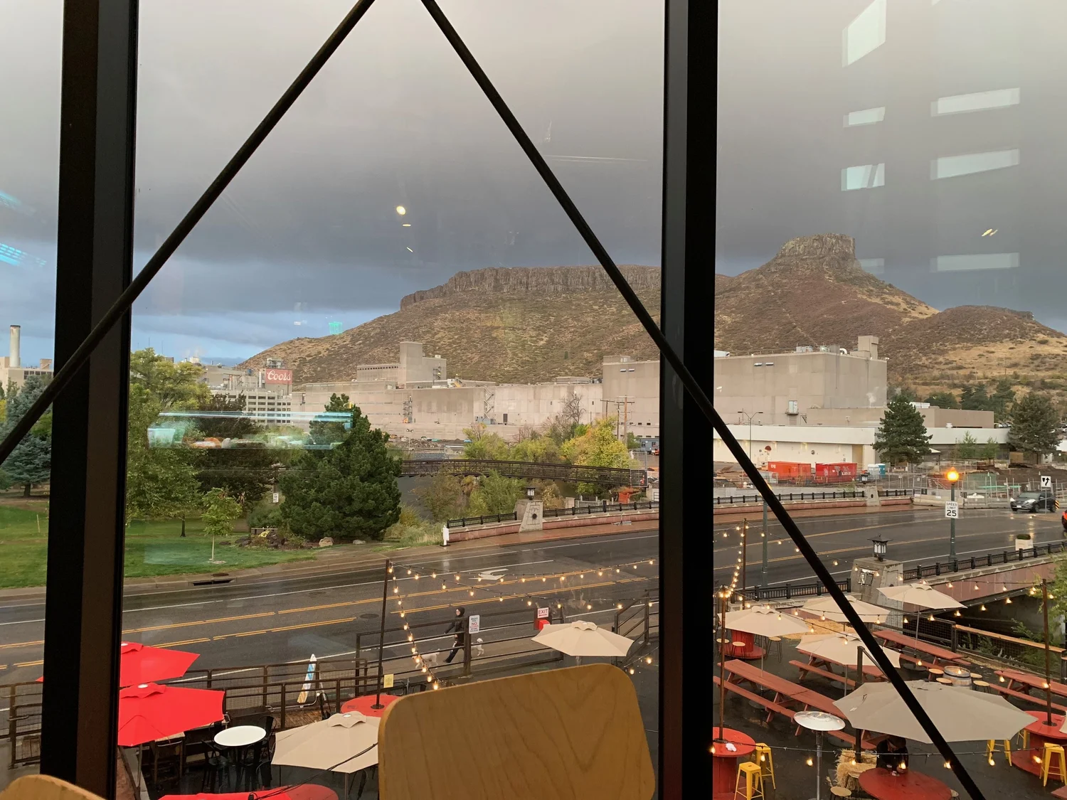 Contact Us — Codon Learning