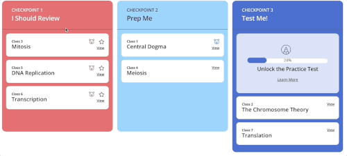 The Study Path — Codon Learning