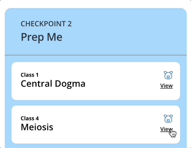 The Study Path — Codon Learning