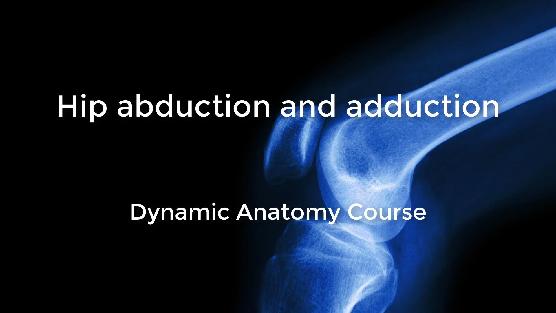Hips - part 2 — Dynamic Anatomy Courses