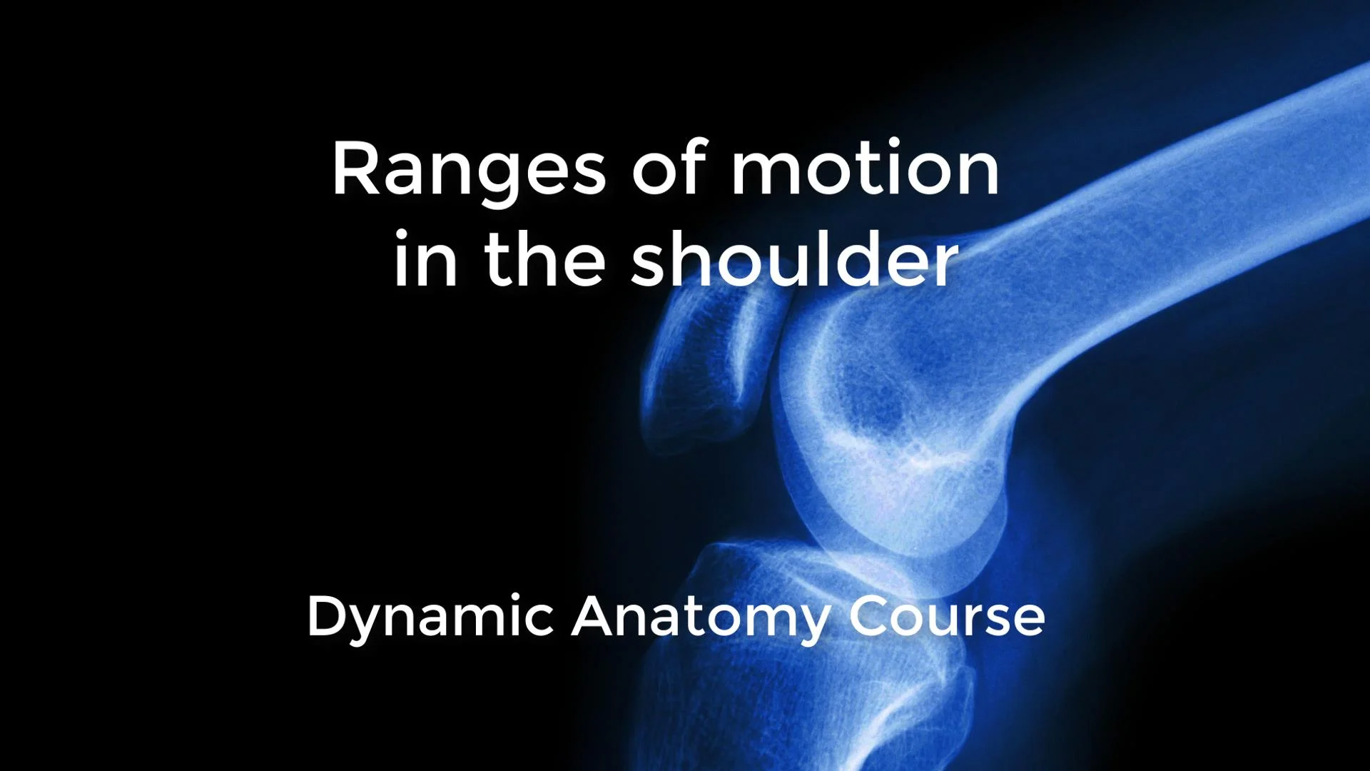 Shoulders - part 2 — Dynamic Anatomy Courses