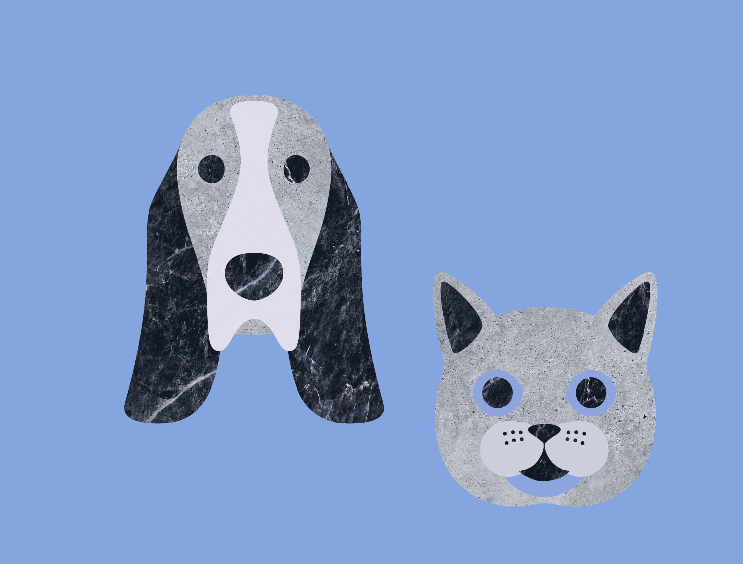 Evervet Veterinary Clinics - Prahran, South Yarra, East Melbourne