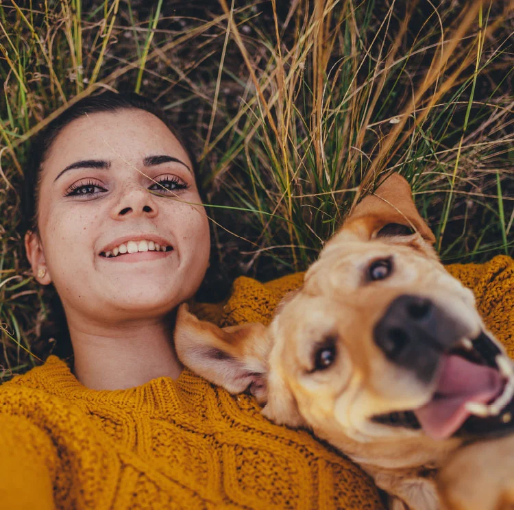 Evervet Veterinary Clinics - South Yarra, Prahran, East Melbourne