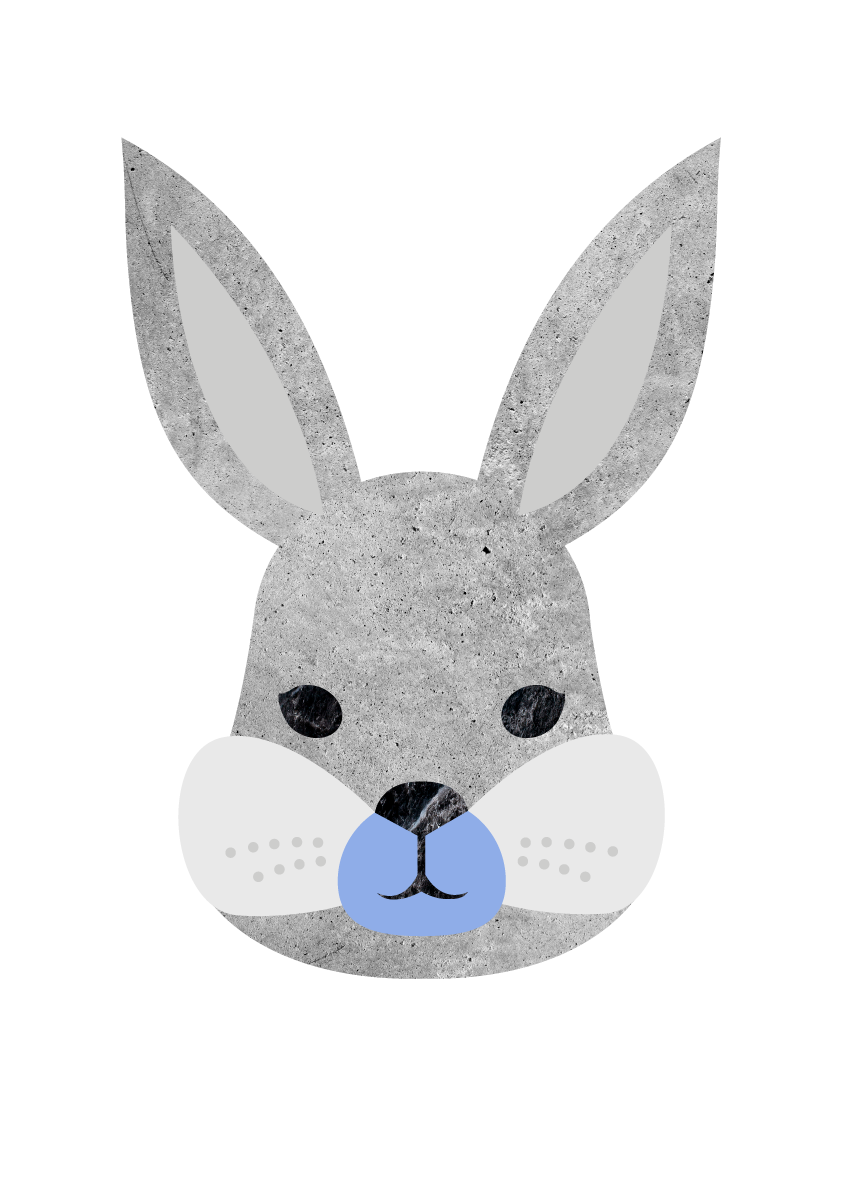Pocket Pets Veterinary Services In Melbourne — Evervet