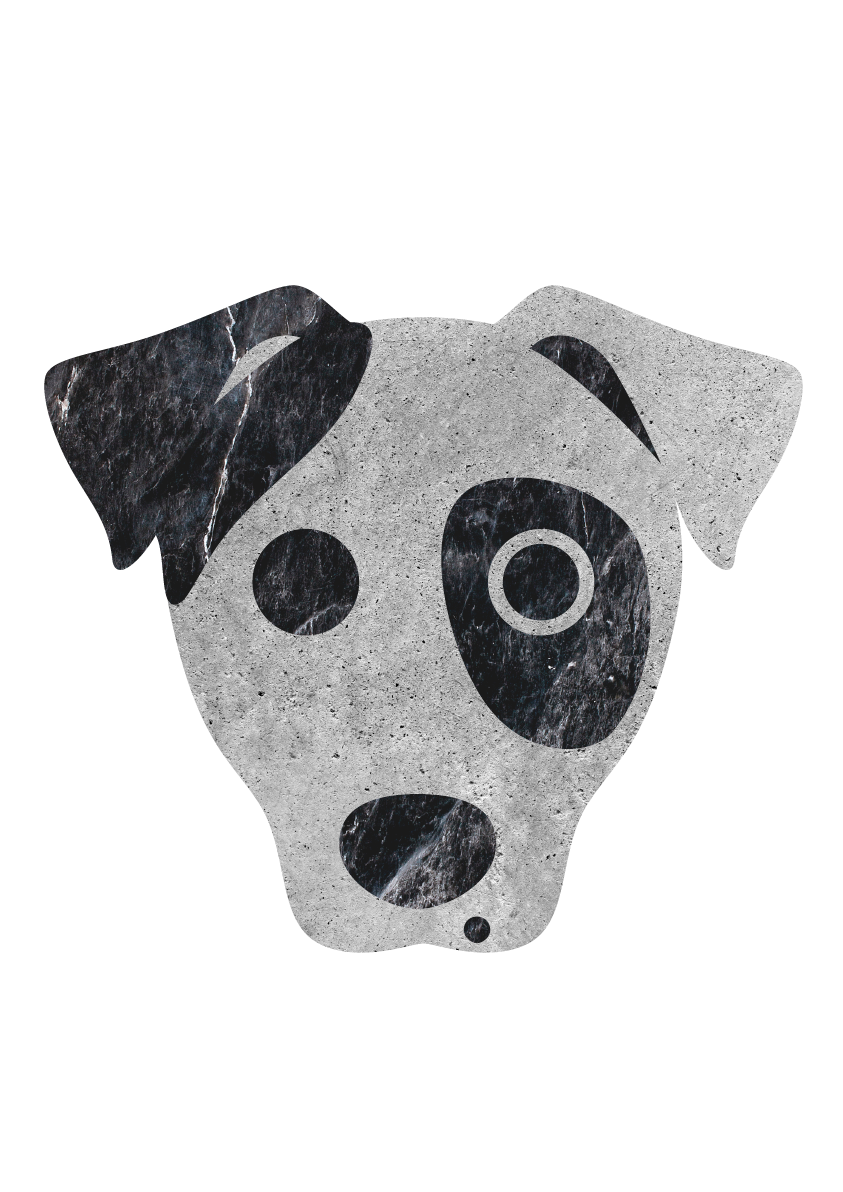 Parasite Prevention For Pets In Melbourne — Evervet