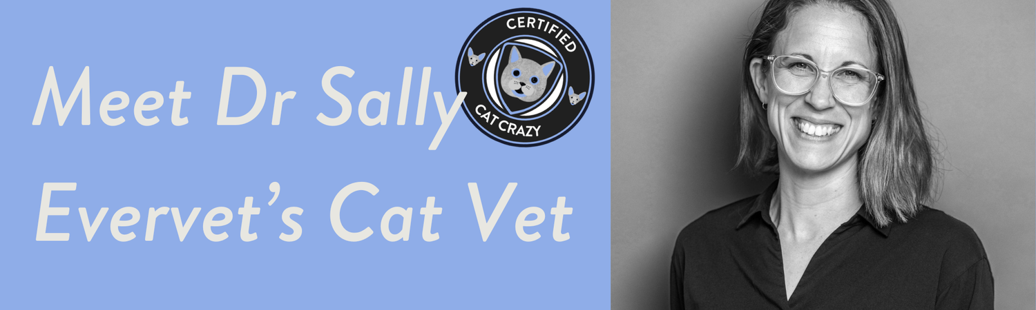 Meet Dr Sally Coggins — Evervet