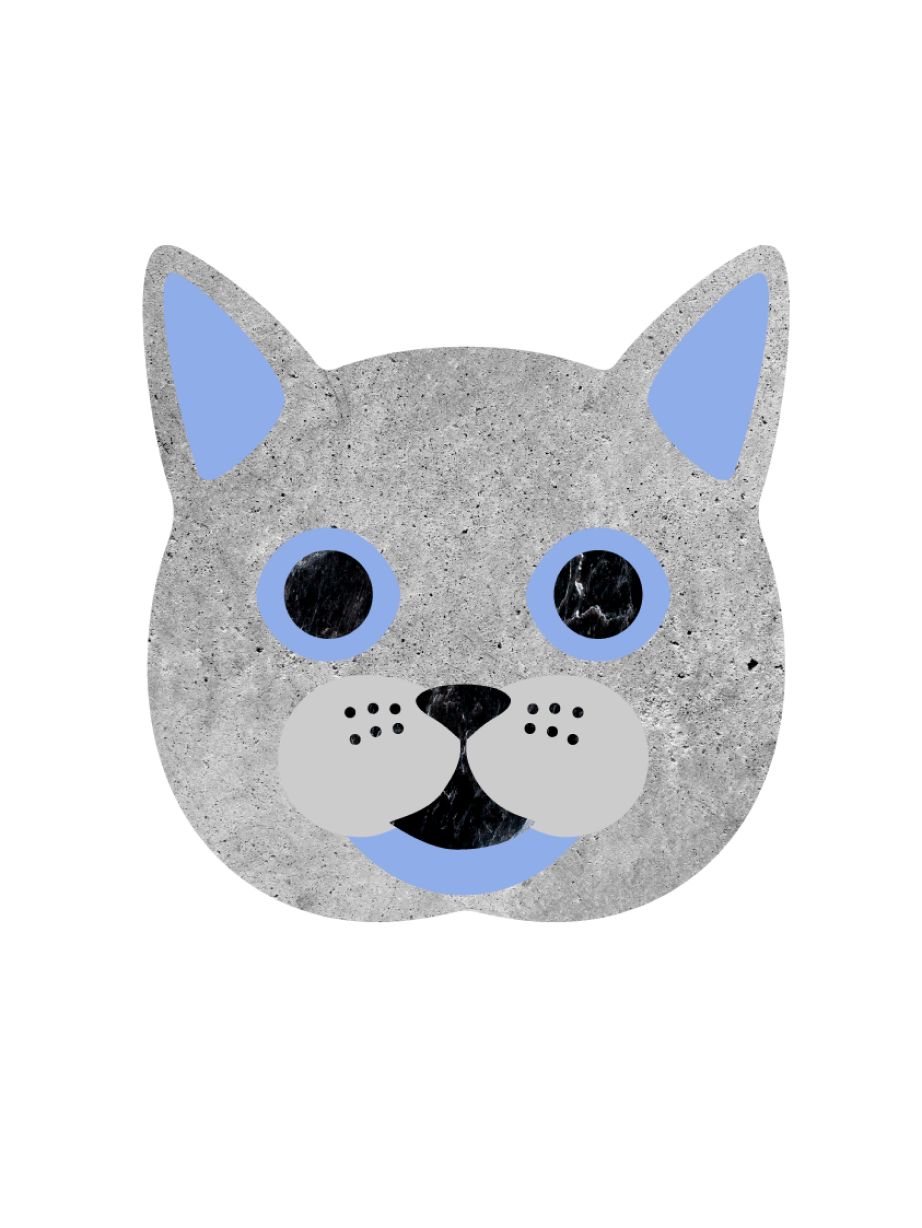 Eyes Cats Evervet Eyes Cats Evervet