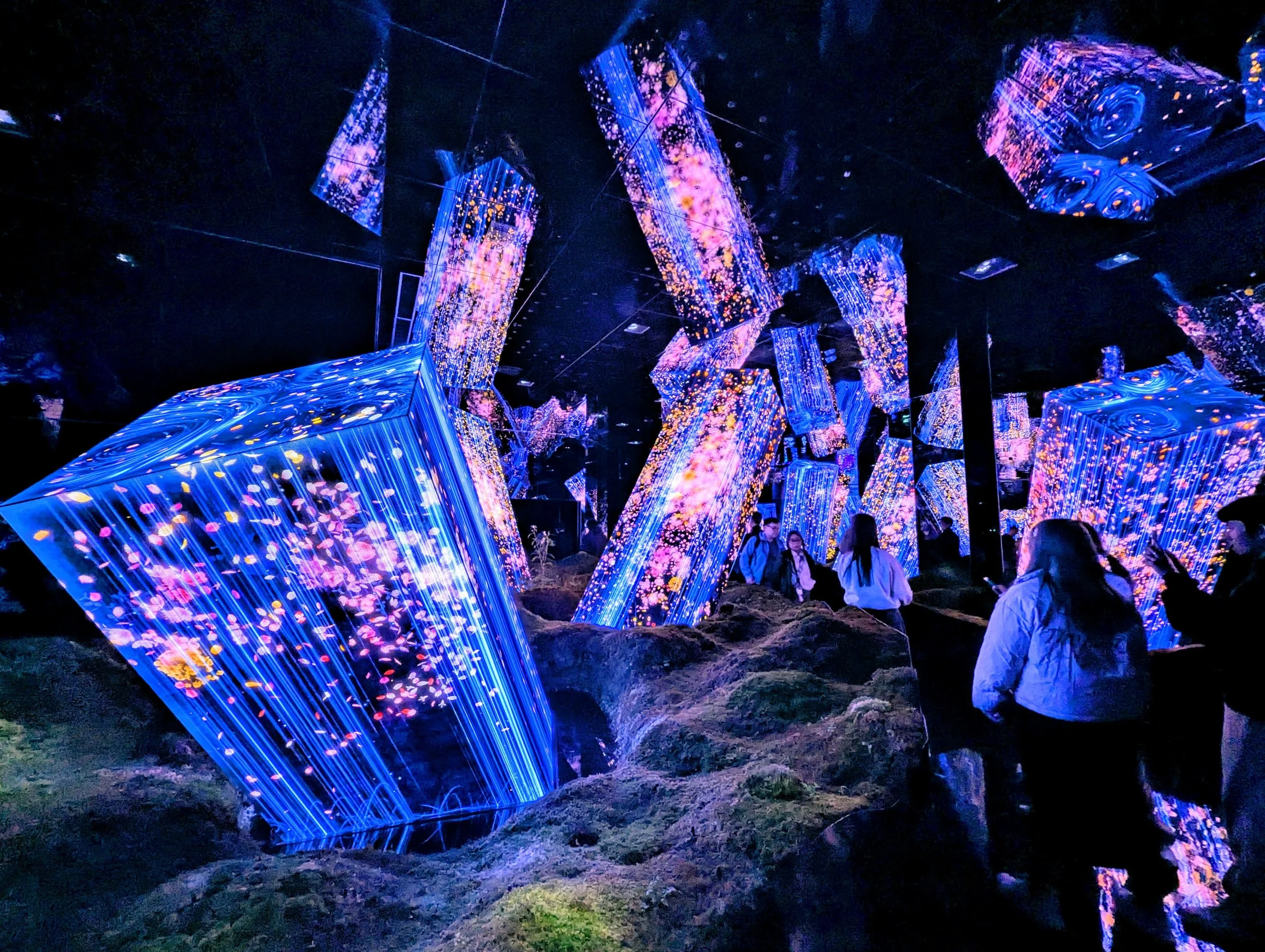 First Look: TeamLab Biovortex Kyoto — Danny With Love