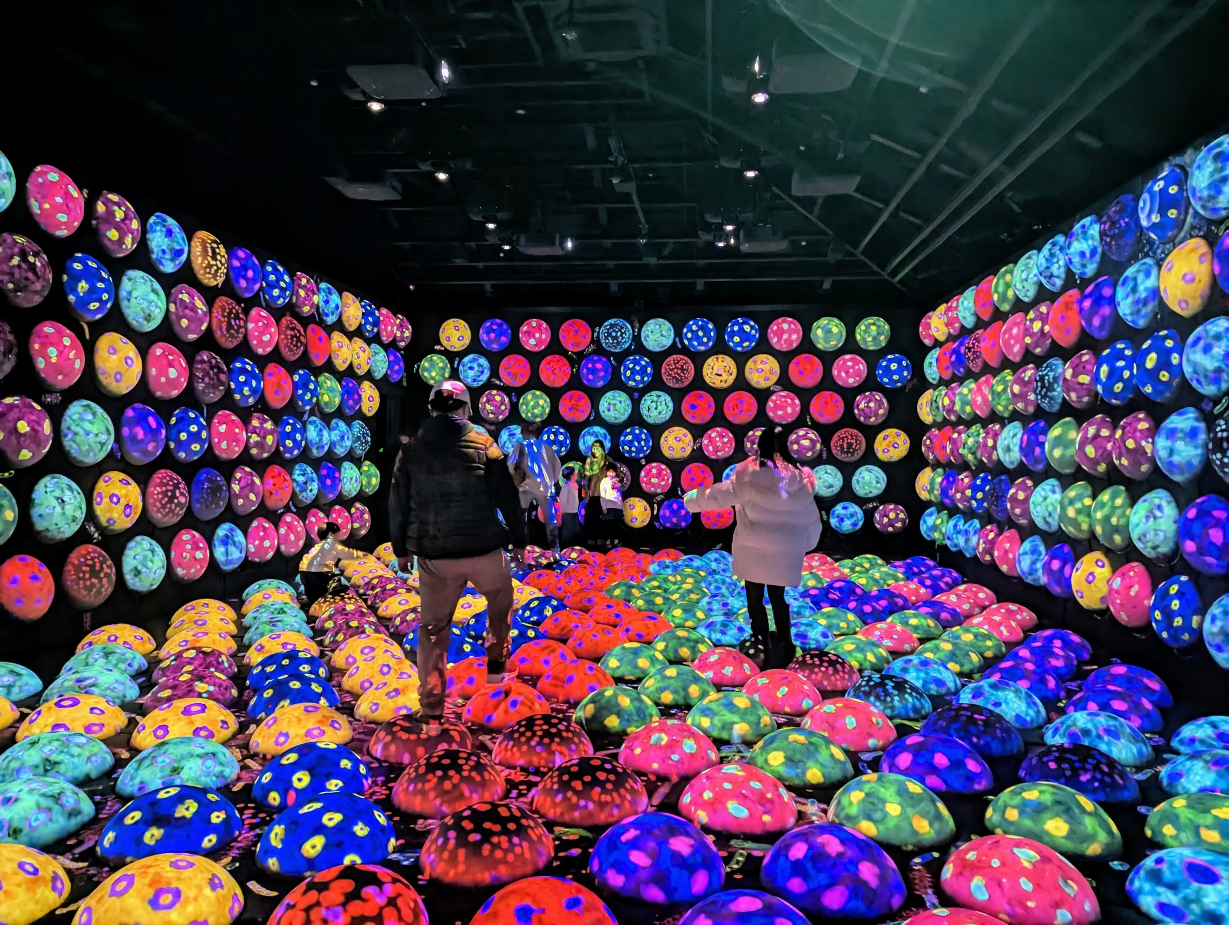 First Look: TeamLab Biovortex Kyoto — Danny With Love