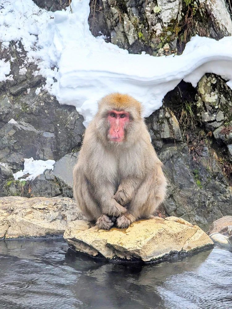Travel Guide: Nagano — Danny With Love