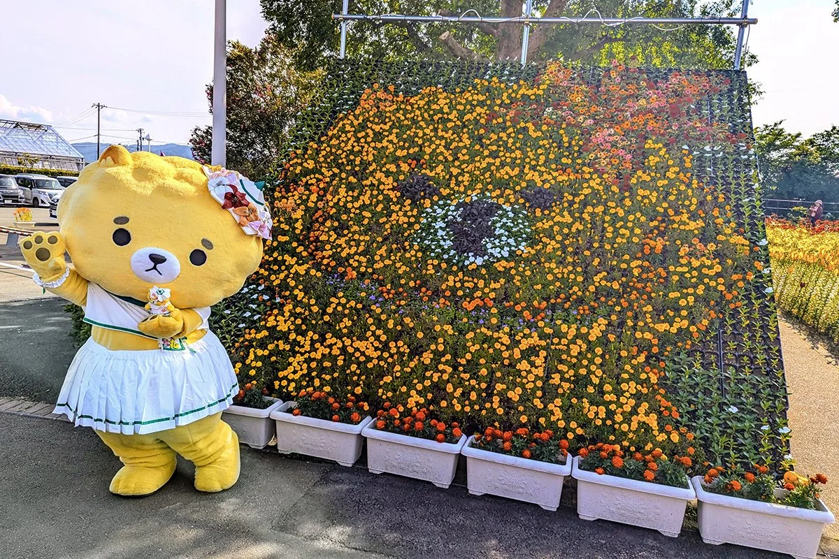 Lilies Reach Peak Bloom at Fukui’s Yuri-no-Sato Park — Danny With Love