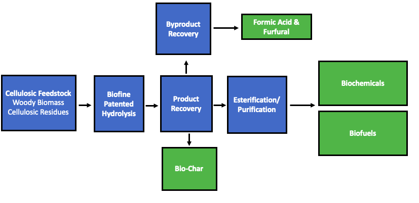 Technology — BDNE Inc.