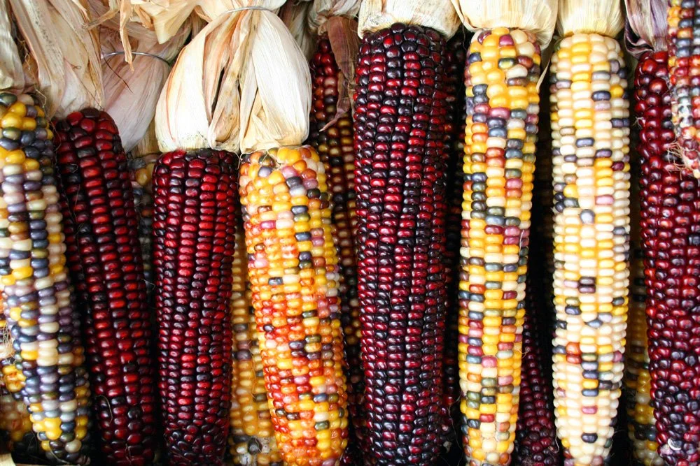 Daily Diet — Center for the Study of the Presidency and Congress