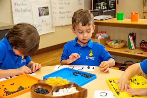 Programs — The Pineapple School