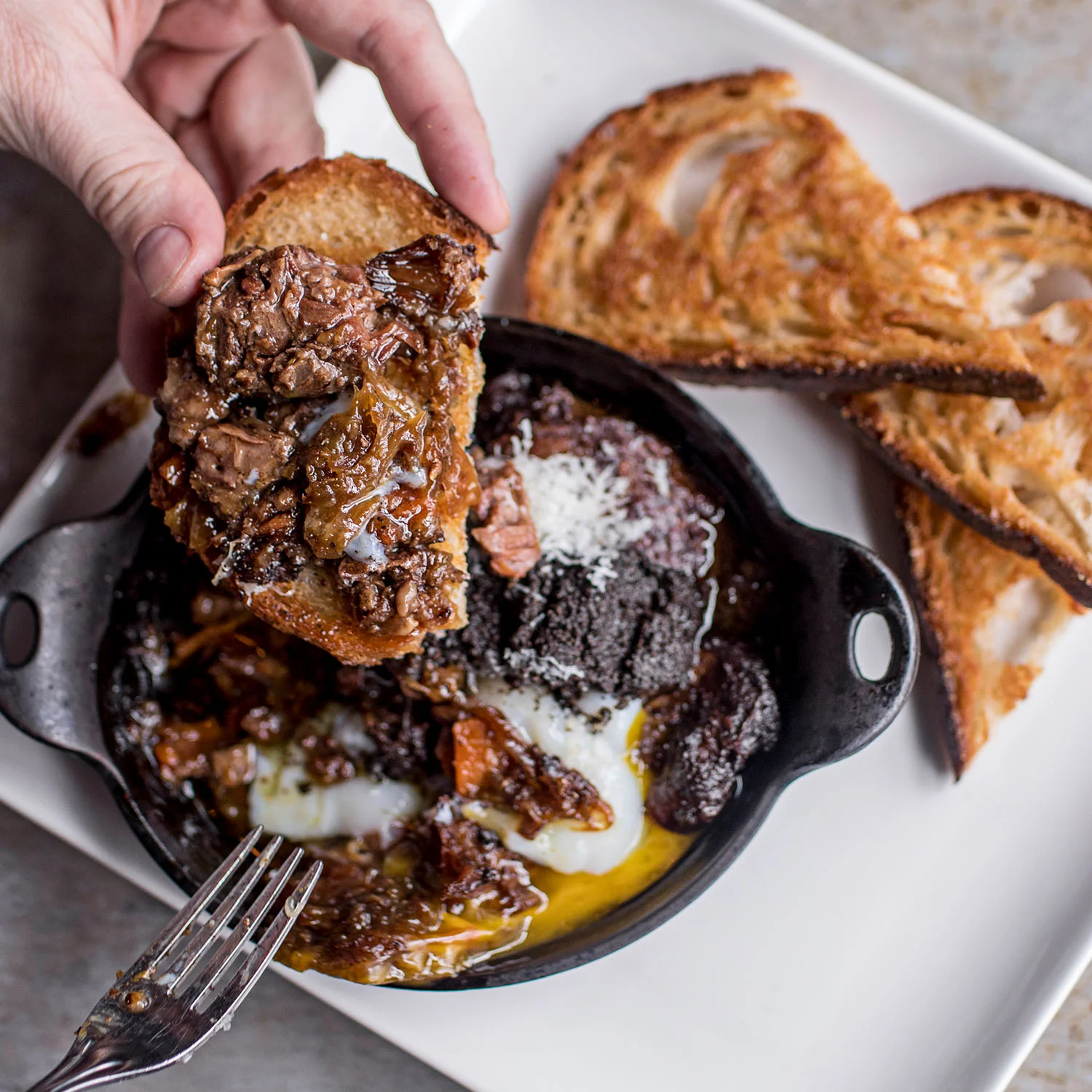 Gallery - D — The Iberian Pig