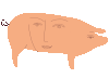 Decatur — The Iberian Pig