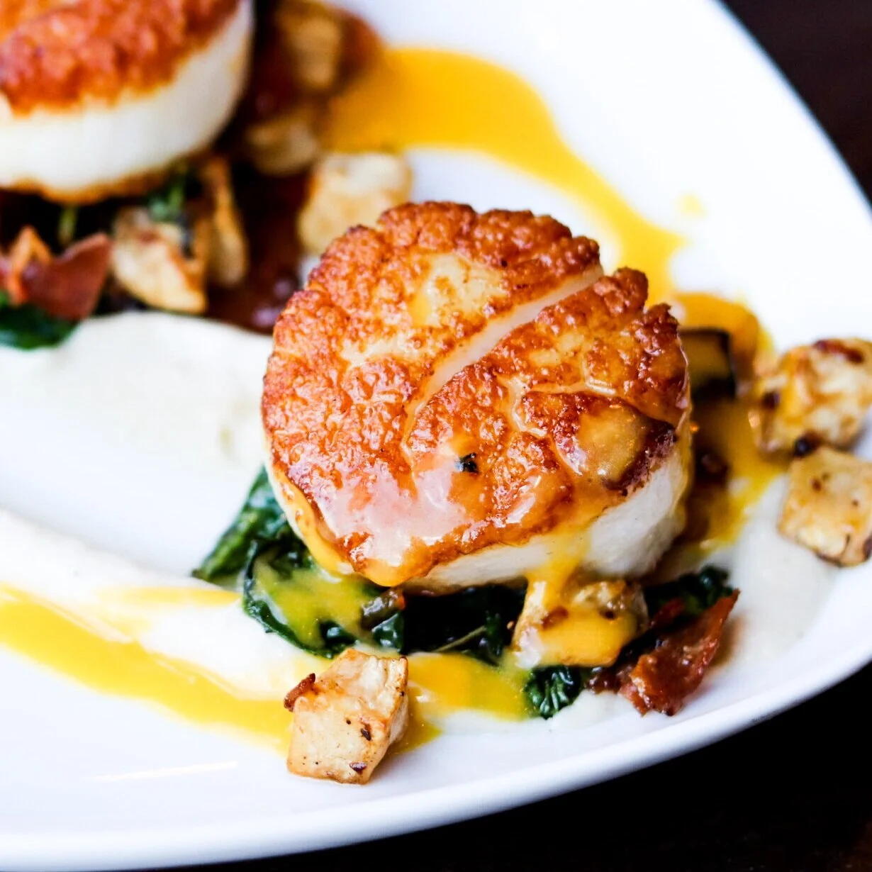 Gallery - D — The Iberian Pig