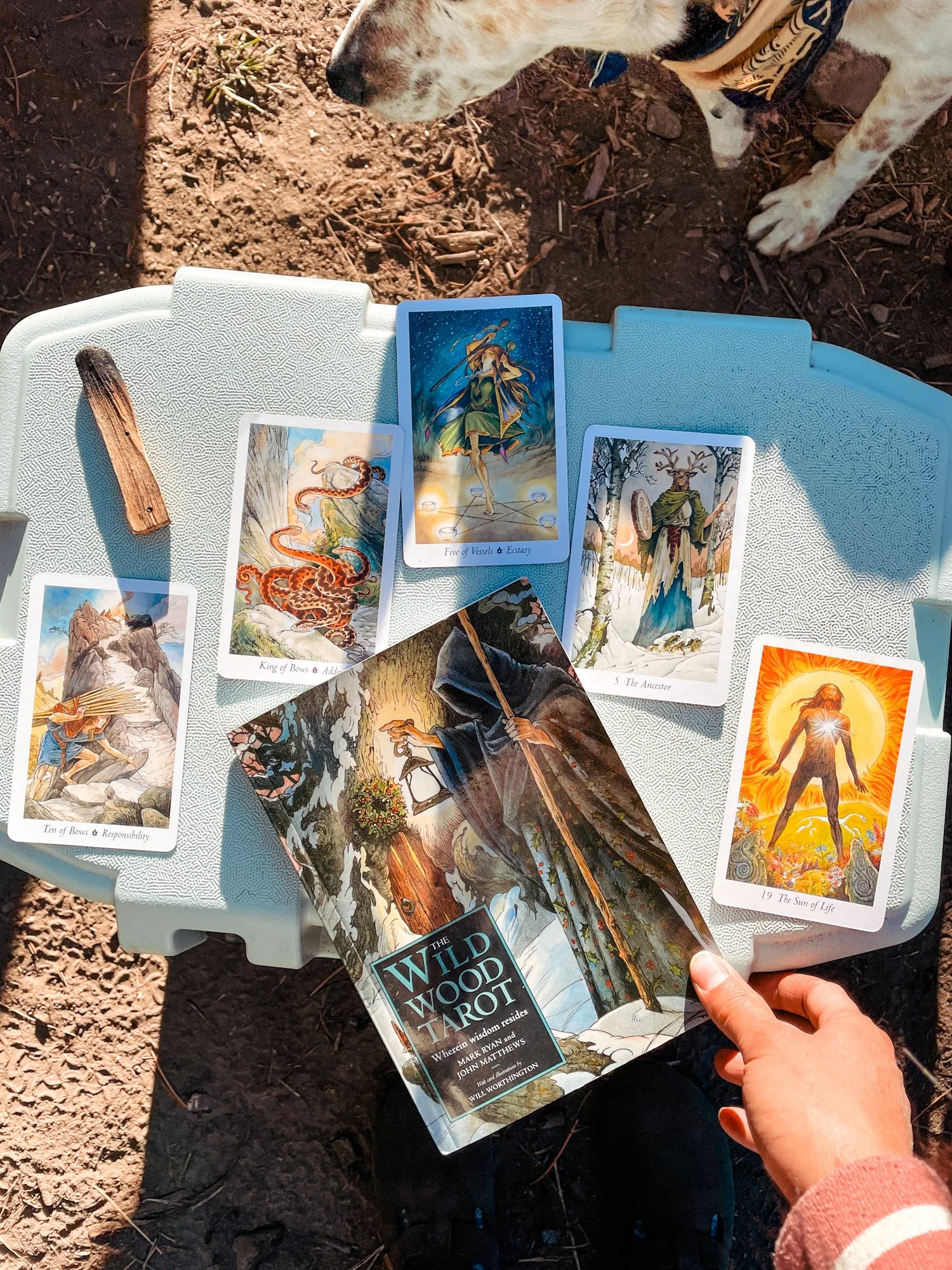 Embracing Autumn — Smeeny Made Wild