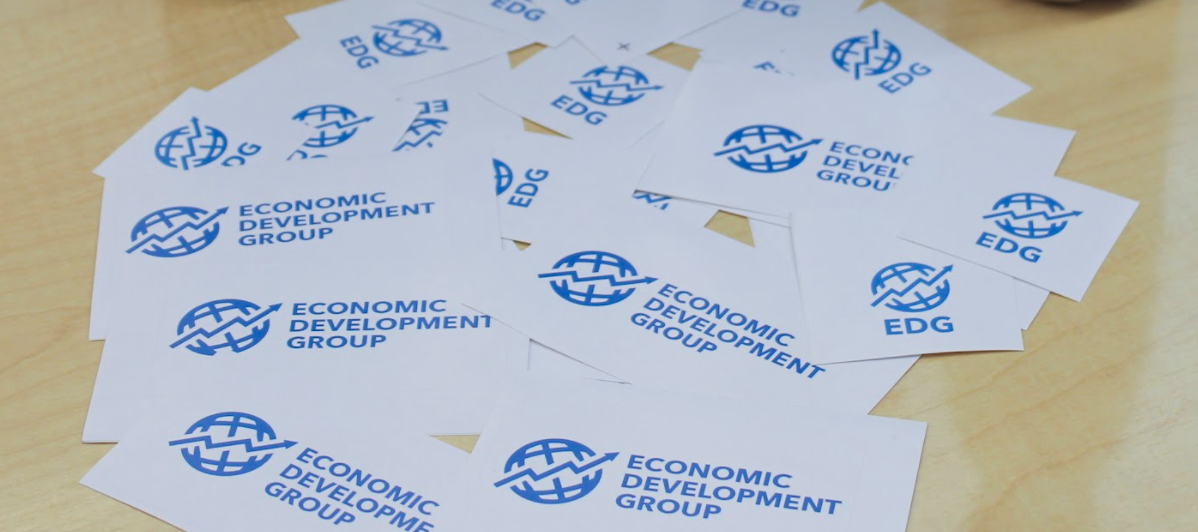 About EDG — NYU Stern Economic Development Group