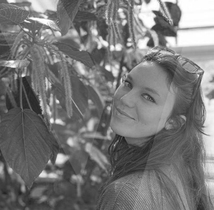 Koffeecup Team — Koffeecup