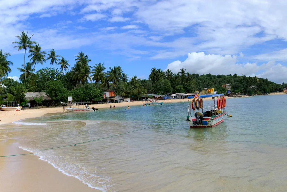 Things to do — Agnus Unawatuna