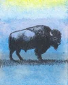 Buffalo Dreamer