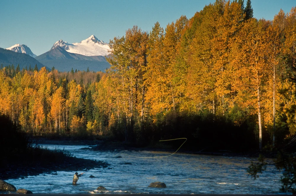 BABINE RIVER FOUNDATION Keep The Babine Wild