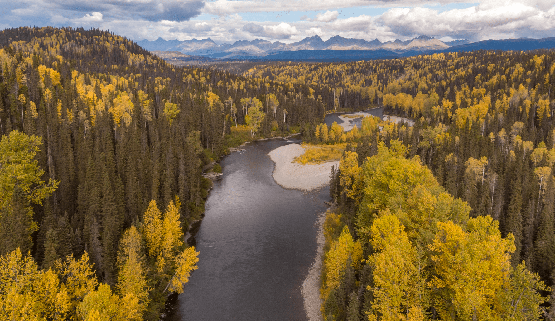 Projects — BABINE RIVER FOUNDATION