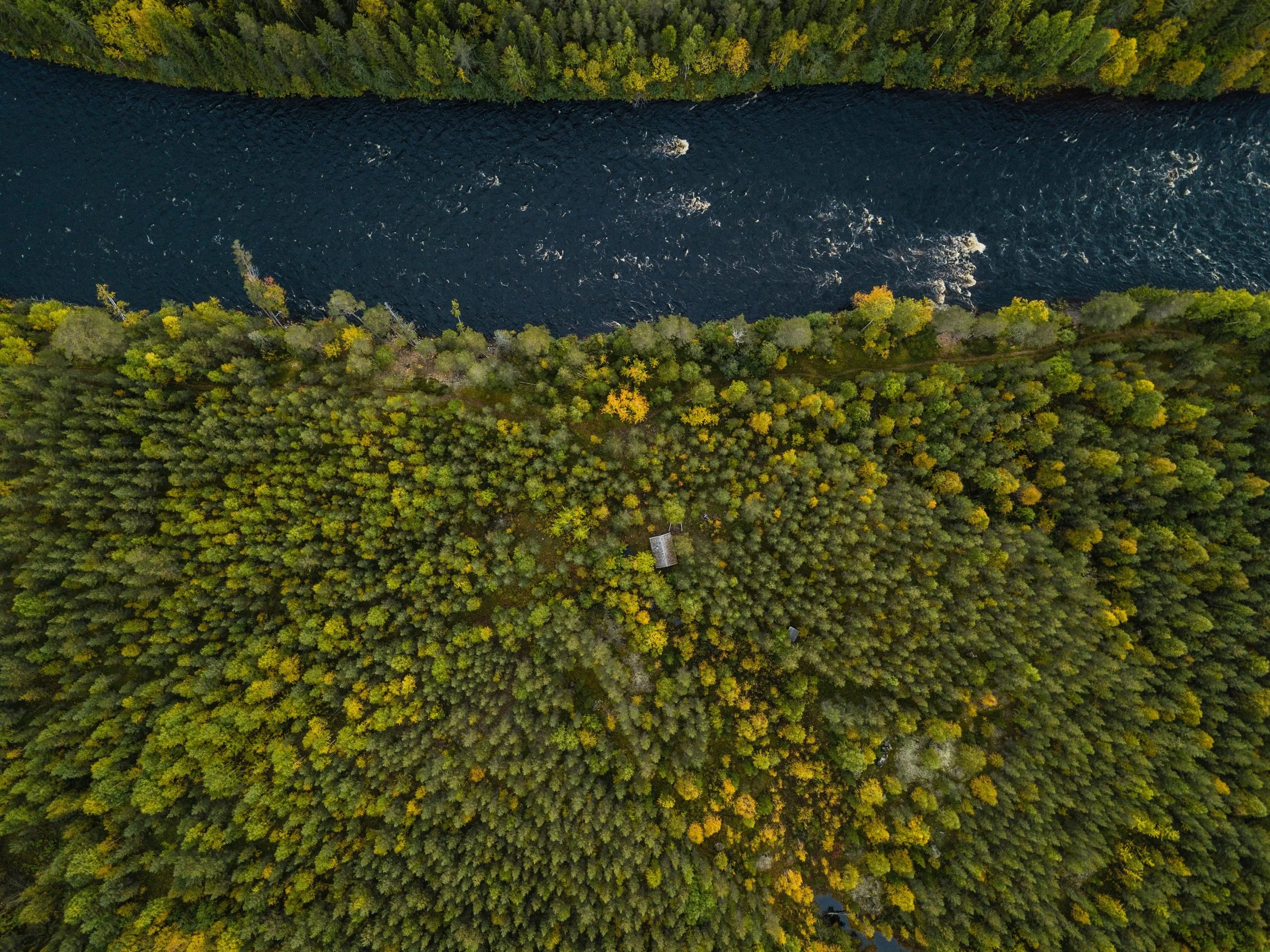 BABINE RIVER FOUNDATION Keep The Babine Wild