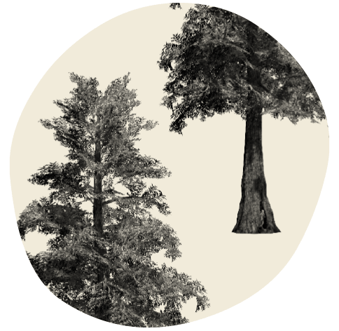 BABINE RIVER FOUNDATION Keep The Babine Wild