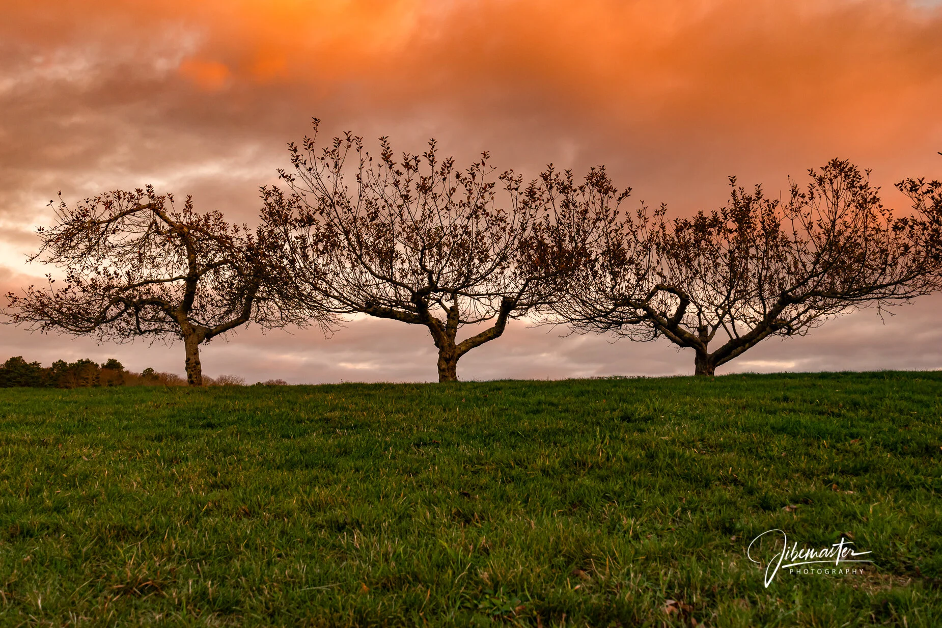 Sunsets — JibeMaster Photography | Jack Mara | Cape Cod | Landscapes | Seascapes