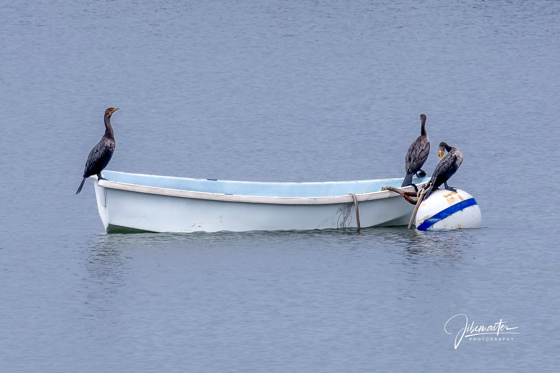 Boats and Harbors of Cape Cod — JibeMaster Photography | Jack Mara ...