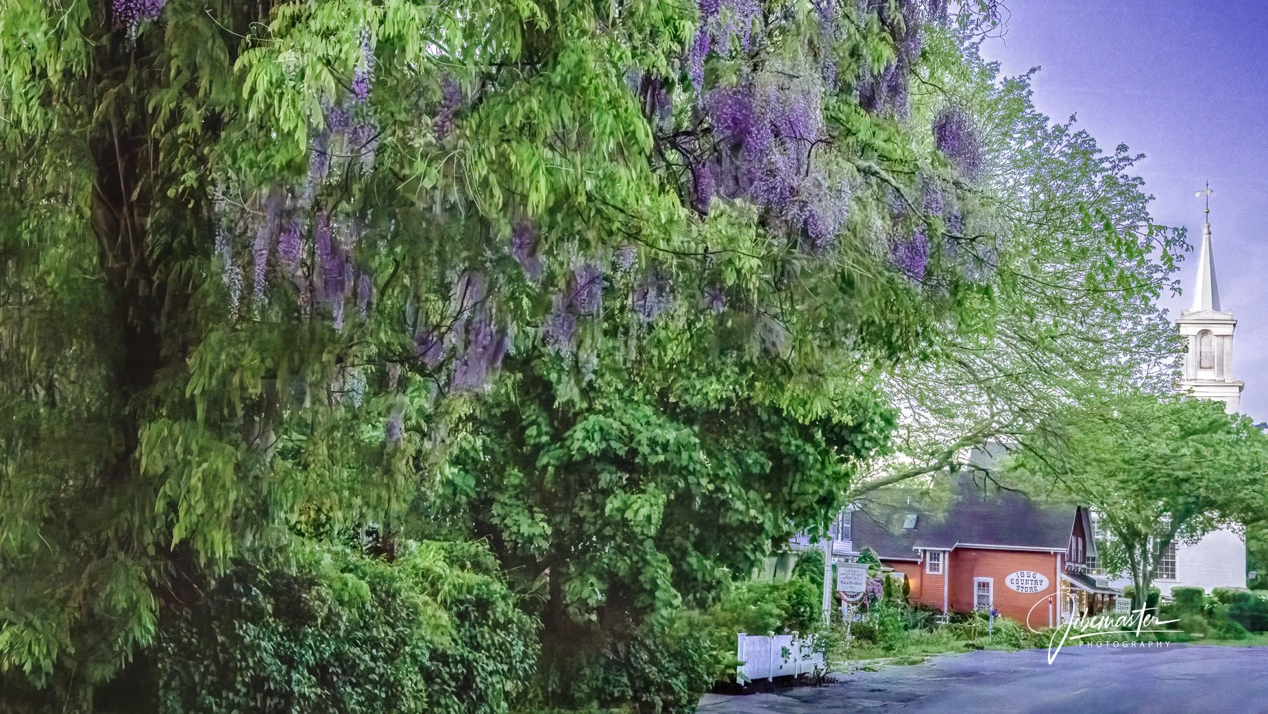 Recent Additions — JibeMaster Photography | Jack Mara | Cape Cod ...