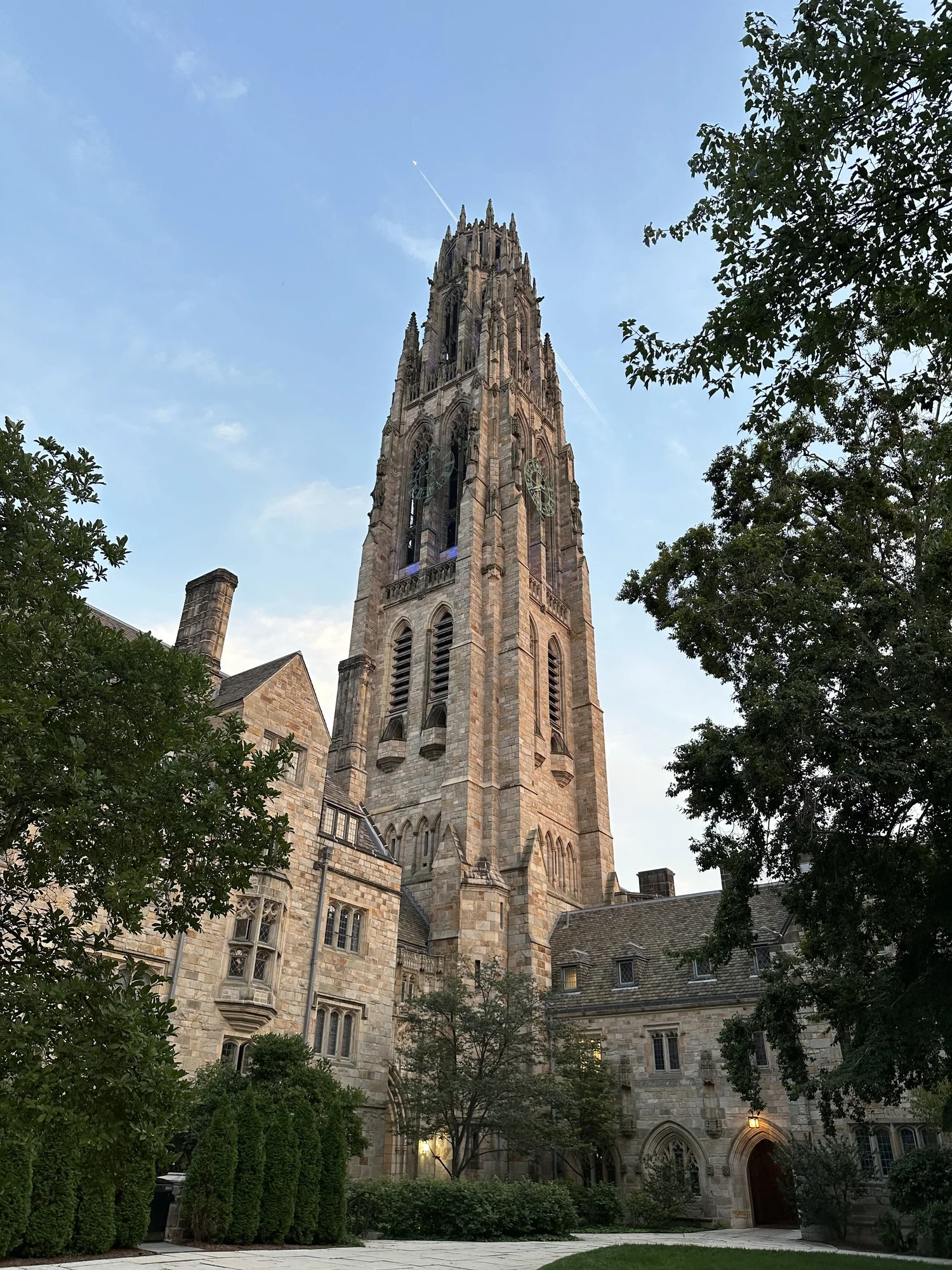 YES Fellows — Yale Entrepreneurial Society